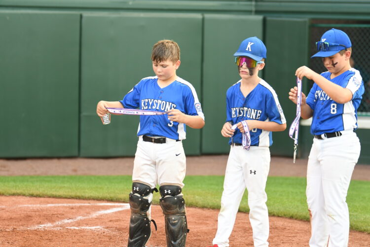 Keystone falls to Sock-Montour in District 12 minor baseball title game ...